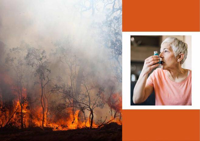 Asthma Threat: Prevent Flare-ups During Bushfire Season - Blog by ...